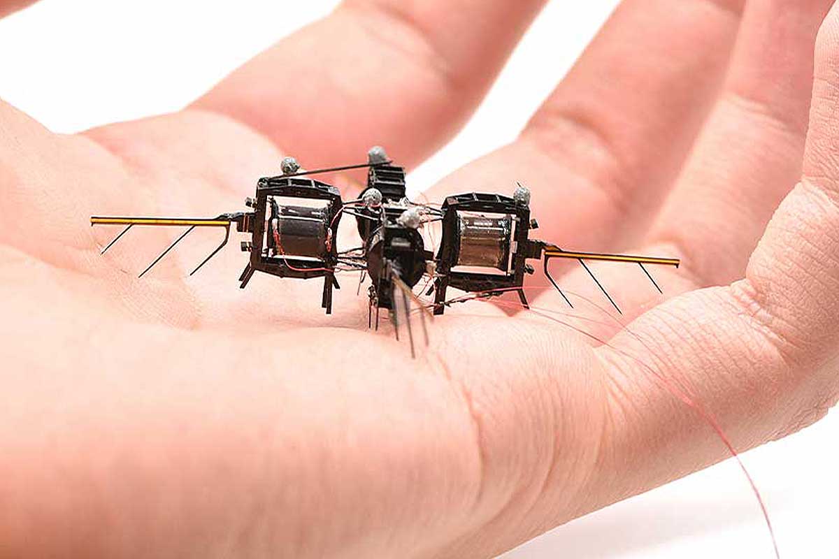 Le MIT dévoile un « nano-drone pollinisateur » presque aussi performant ...