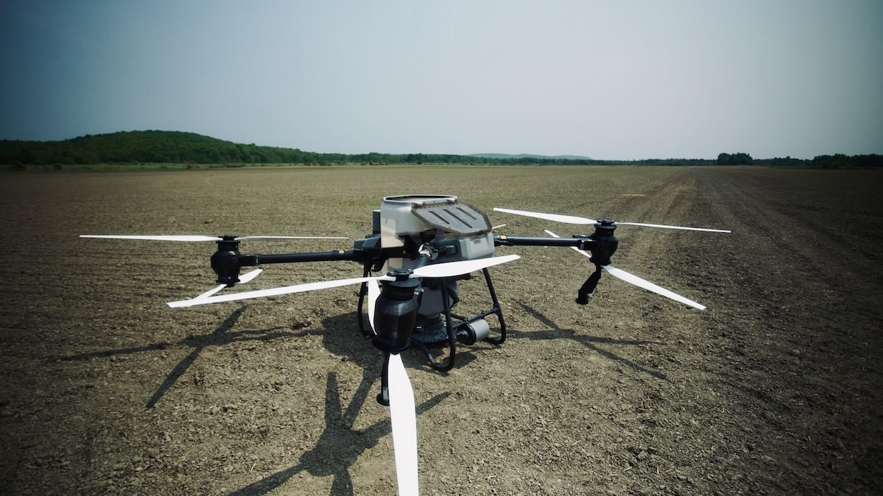 Des drones pour les semences dans les champs | Info
