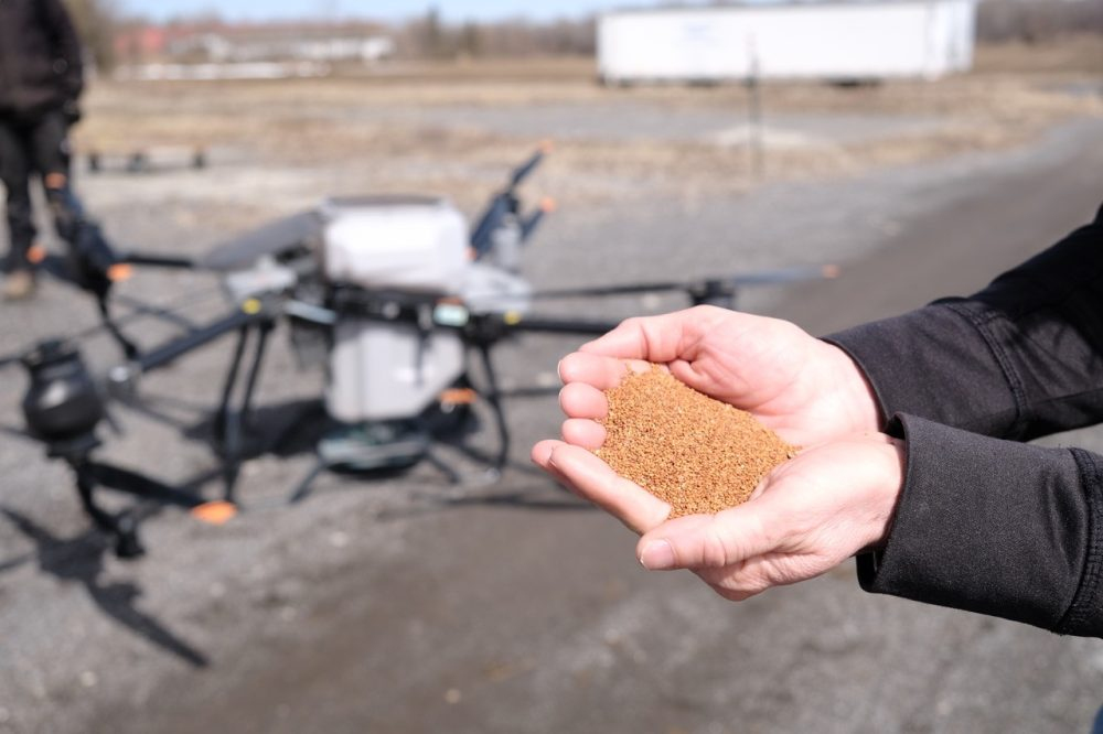 Caméline semée au drone - Le Bulletin des agriculteurs